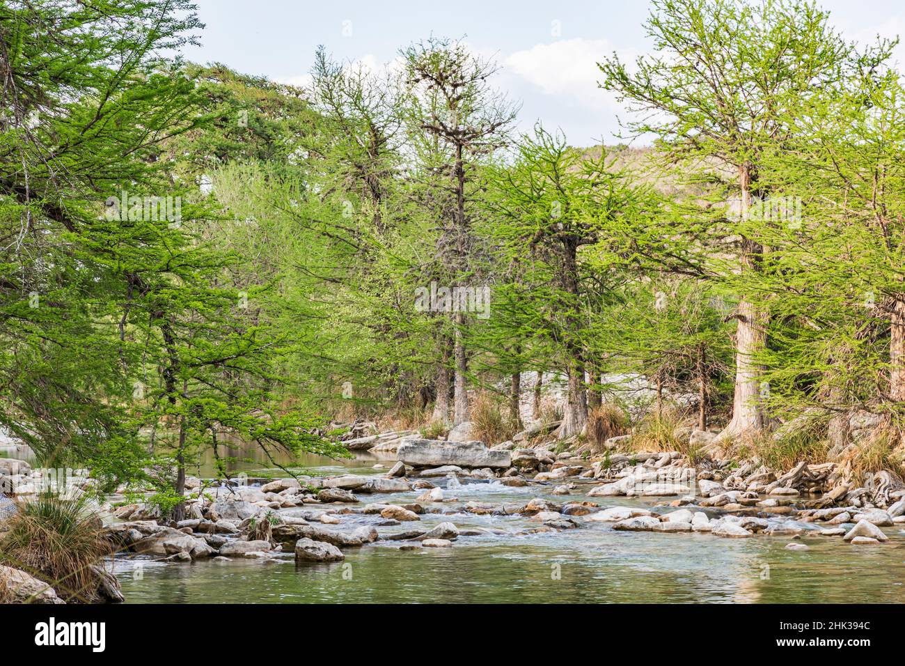 Concan, Texas, USA. The Frio River in the Texas Hill Country Stock ...