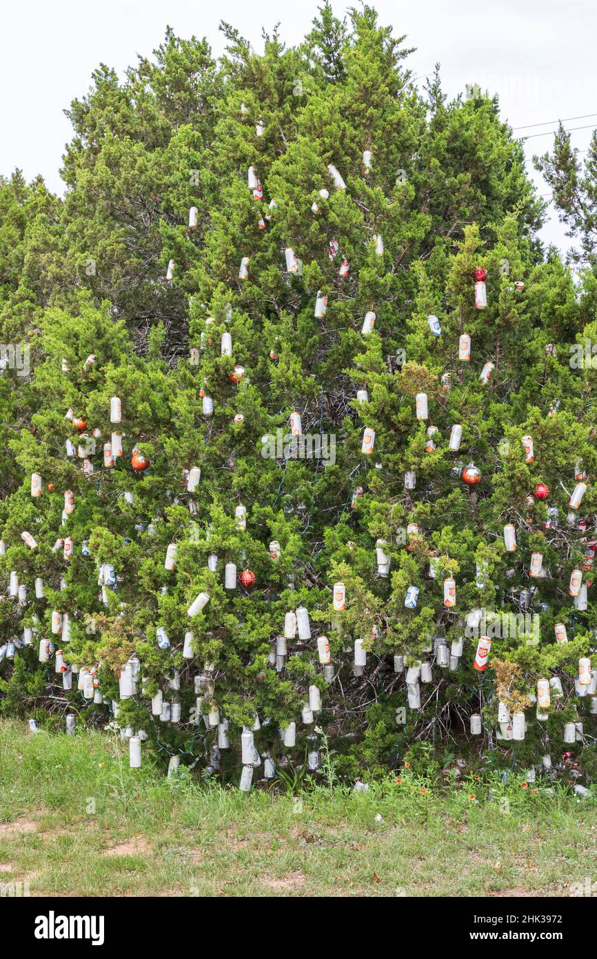 Comfort, Texas, USA. Tree decorated with empty been cans in the Texas ...