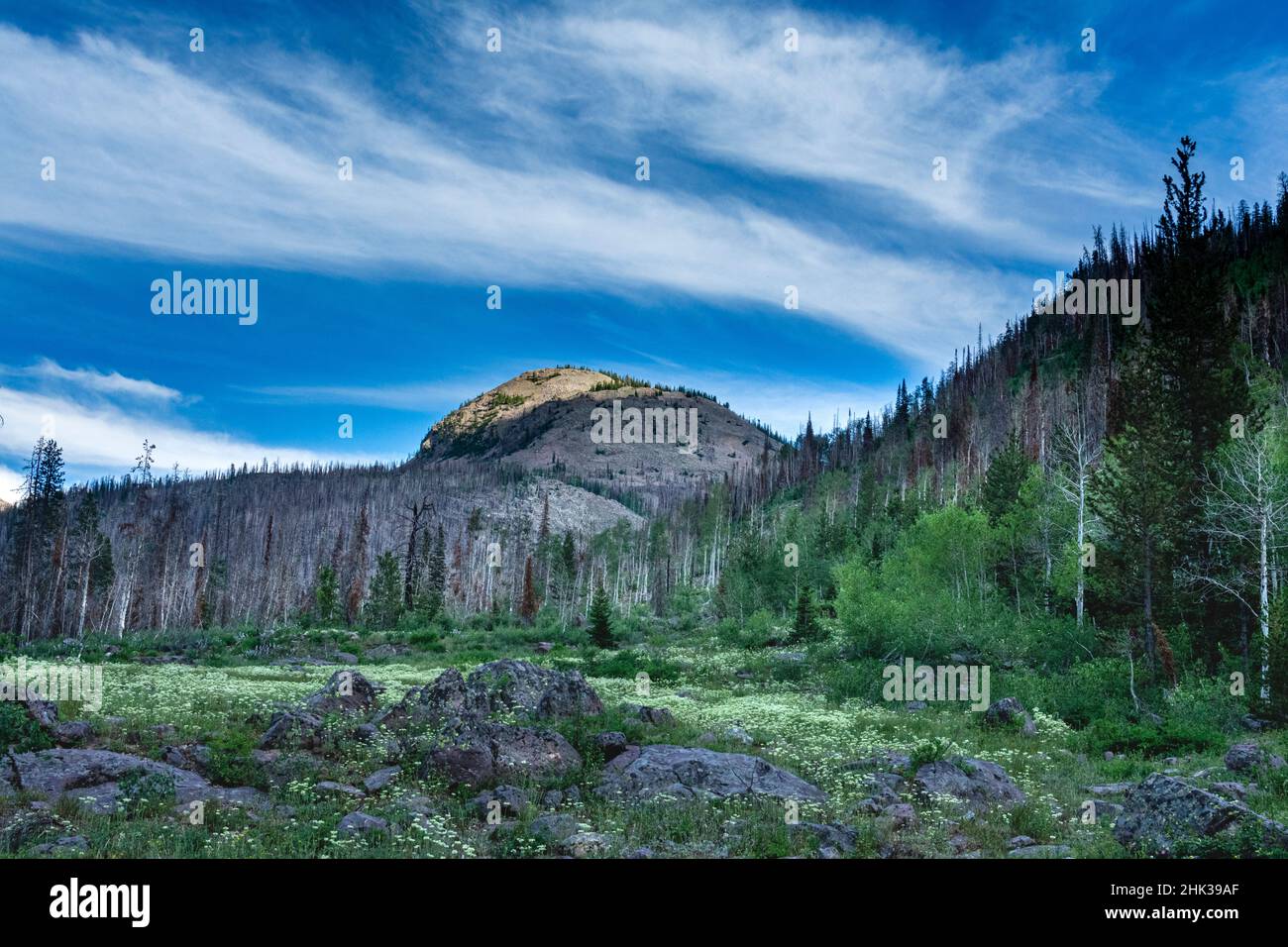 Uinta wasatch cache national fo hi-res stock photography and images - Alamy