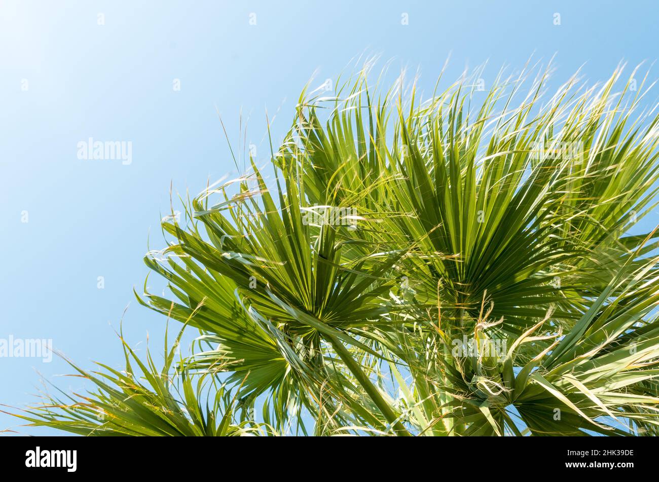 Pla background hi-res stock photography and images - Alamy