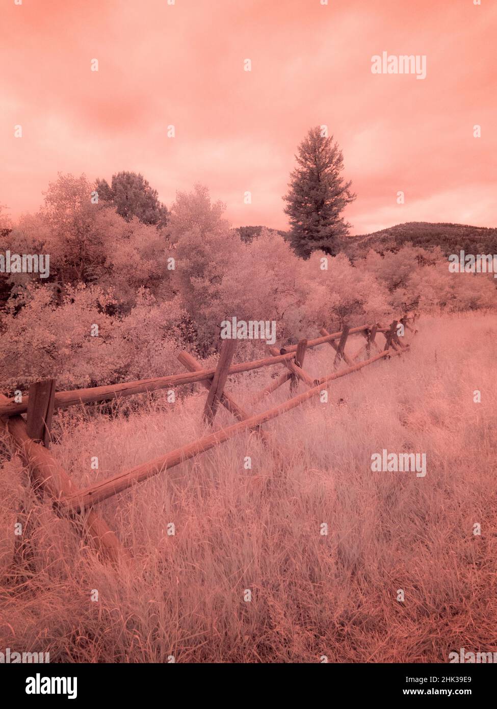USA, Utah, Infrared of the Logan Pass area with split rai fence Stock ...