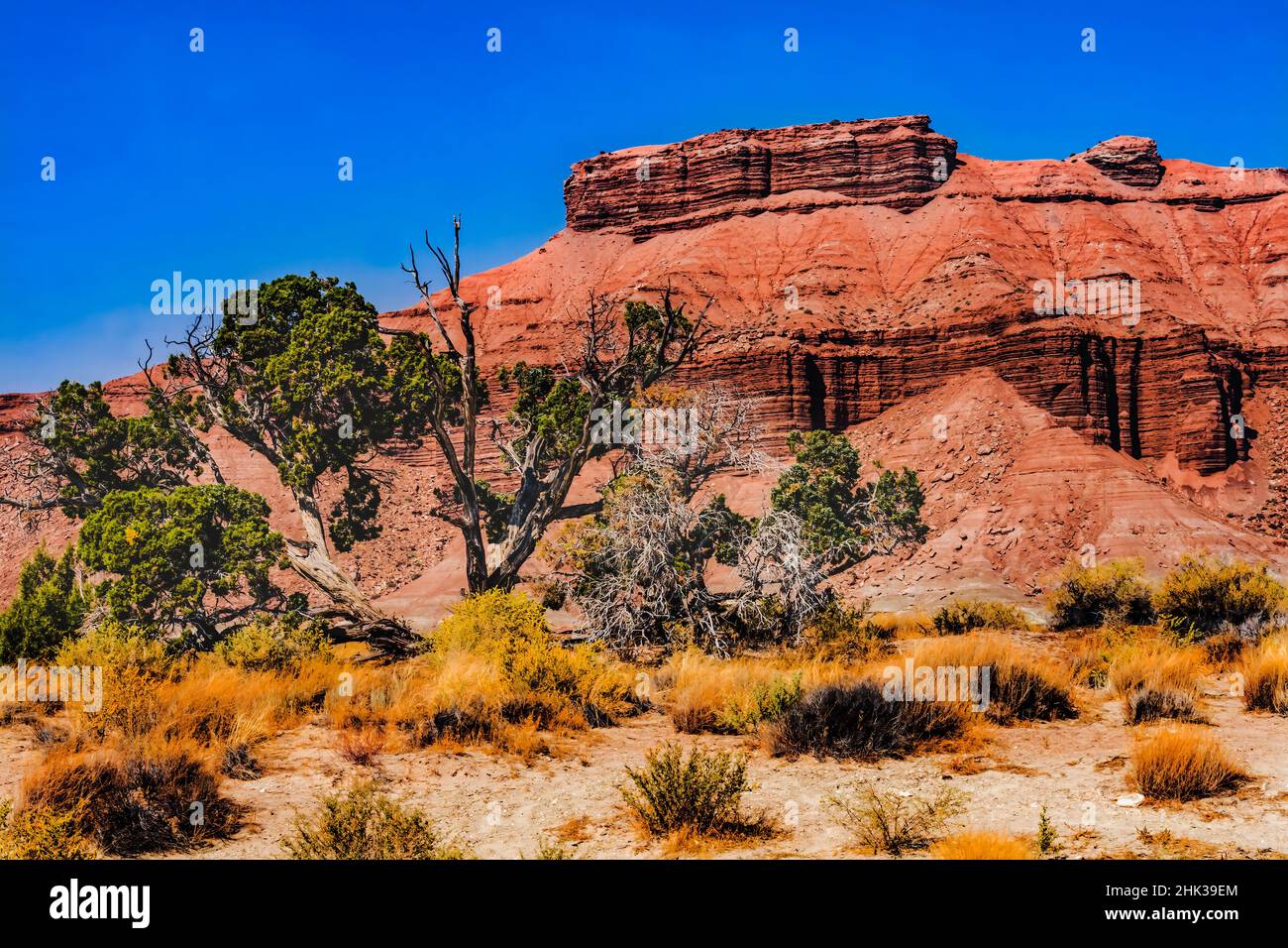Perry highway hi-res stock photography and images - Alamy