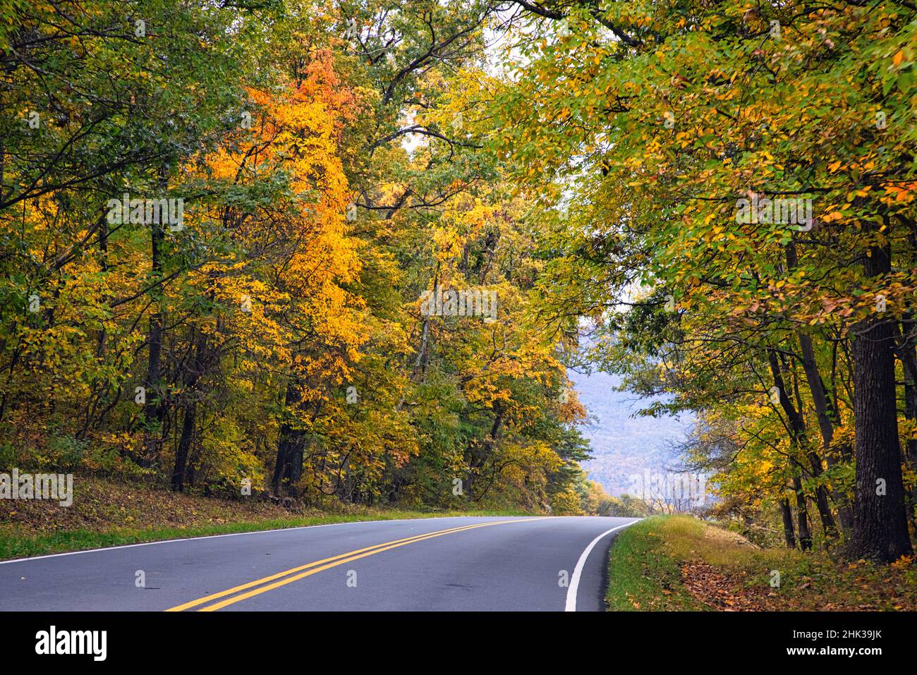Shenandoah skyline drive fall hi-res stock photography and images - Alamy