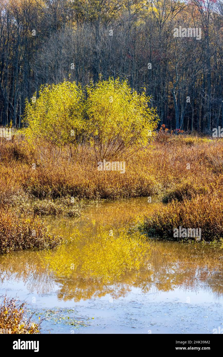 Huntley park hi-res stock photography and images - Alamy