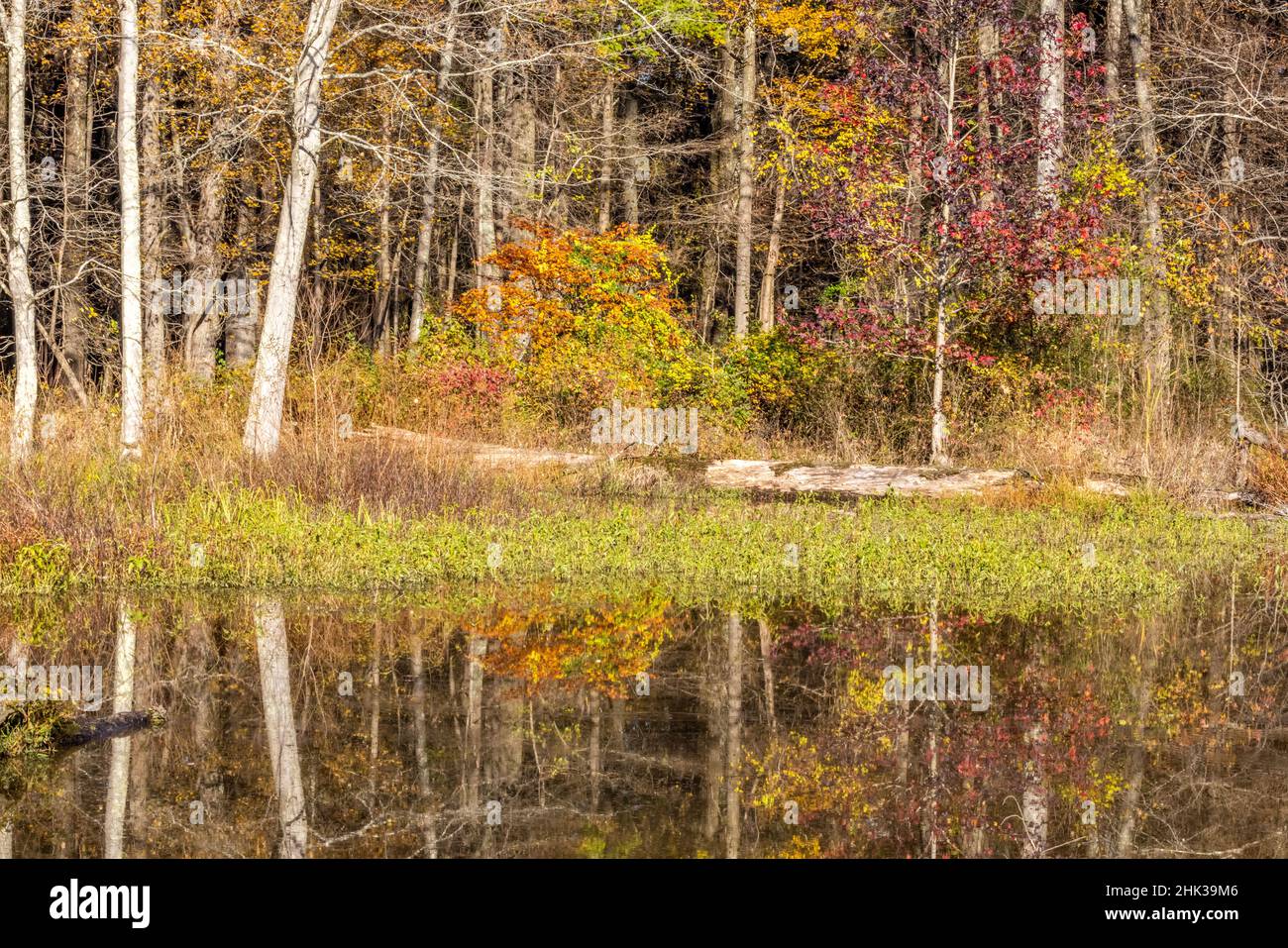 Huntley meadows park hi-res stock photography and images - Alamy
