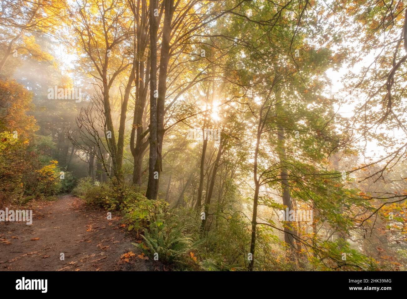 Lincoln park seattle hi-res stock photography and images - Alamy
