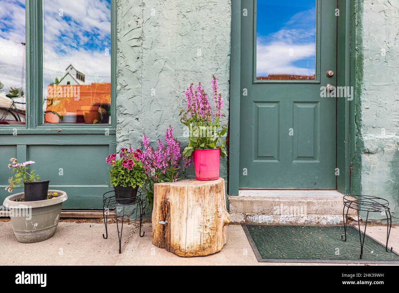 Palouse, Washington State, USA. Flowers on a stump in a small town in ...