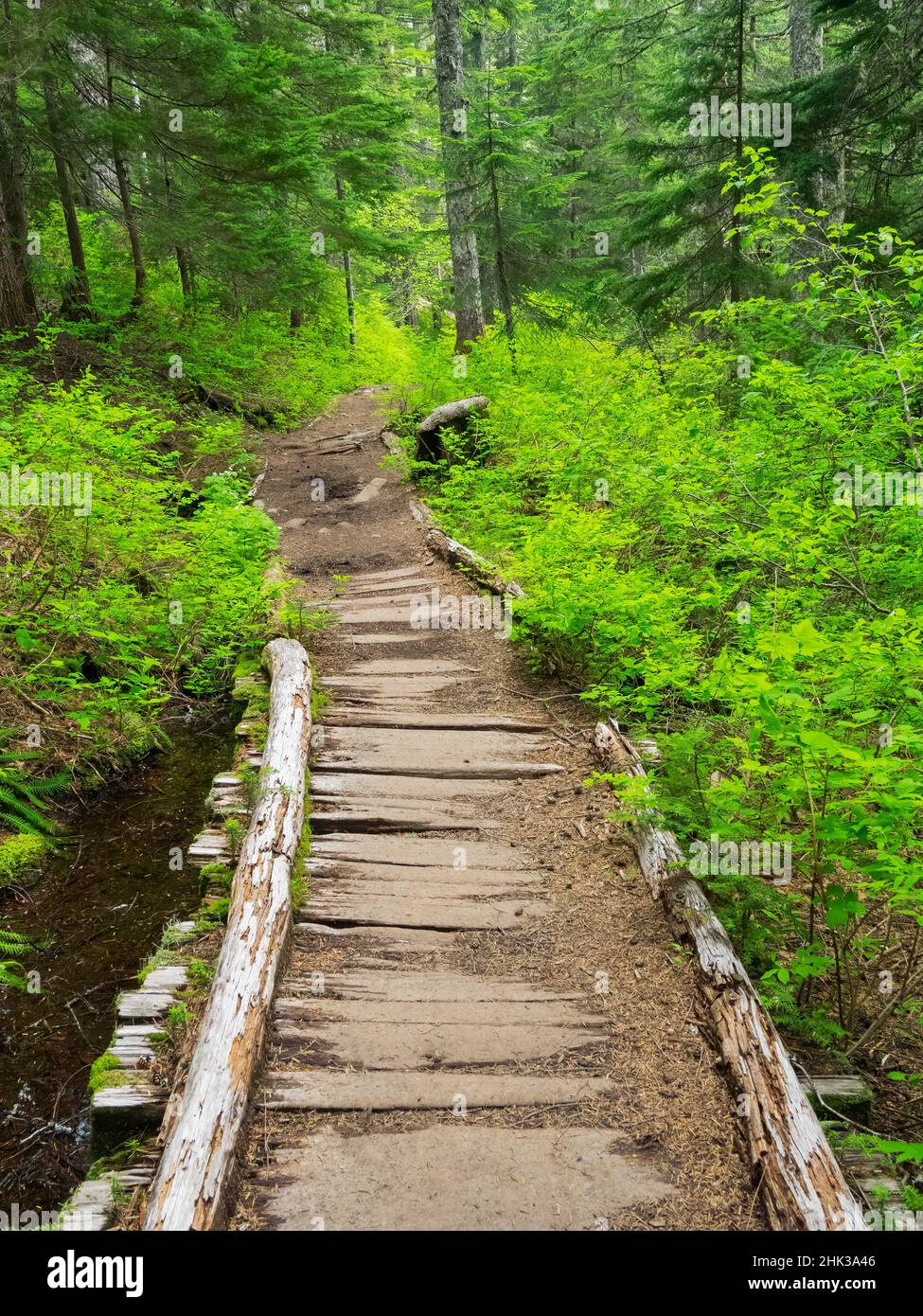The cascades trail hi-res stock photography and images - Alamy