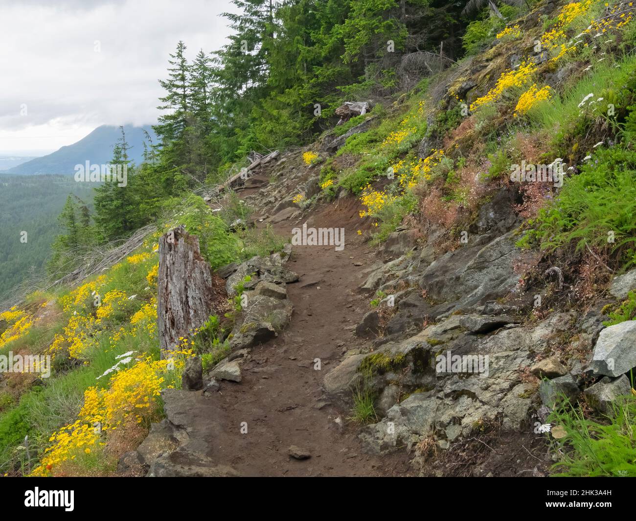 Washington State, Central Cascades, Dirty Harry's Peak Trail Stock ...
