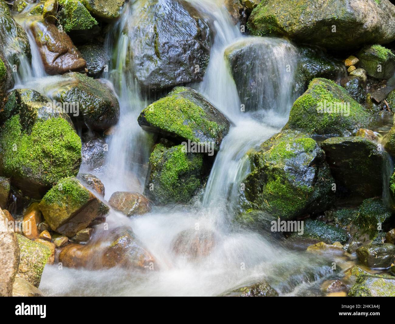 Washington State, Central Cascades, Small Stream Cascade, on trail to ...