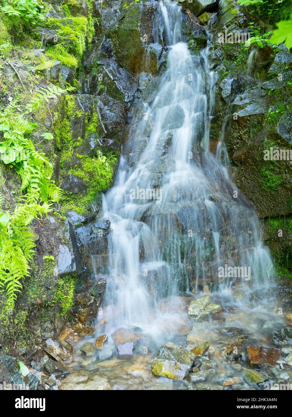 Washington State, Central Cascades, Waterfall, on trail to Annette Lake ...