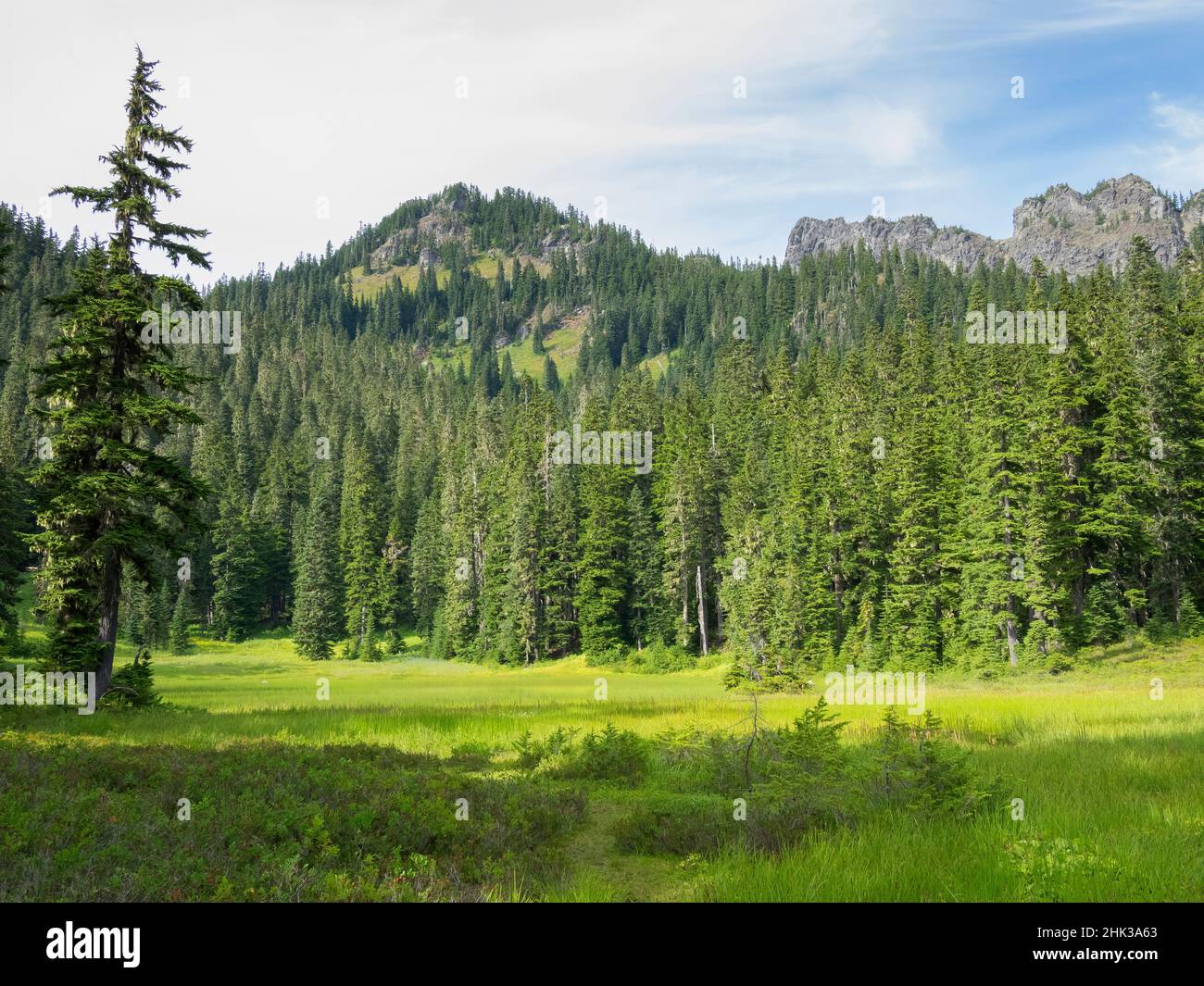 Washington State, Central Cascades, Alpine Meadow Stock Photo - Alamy