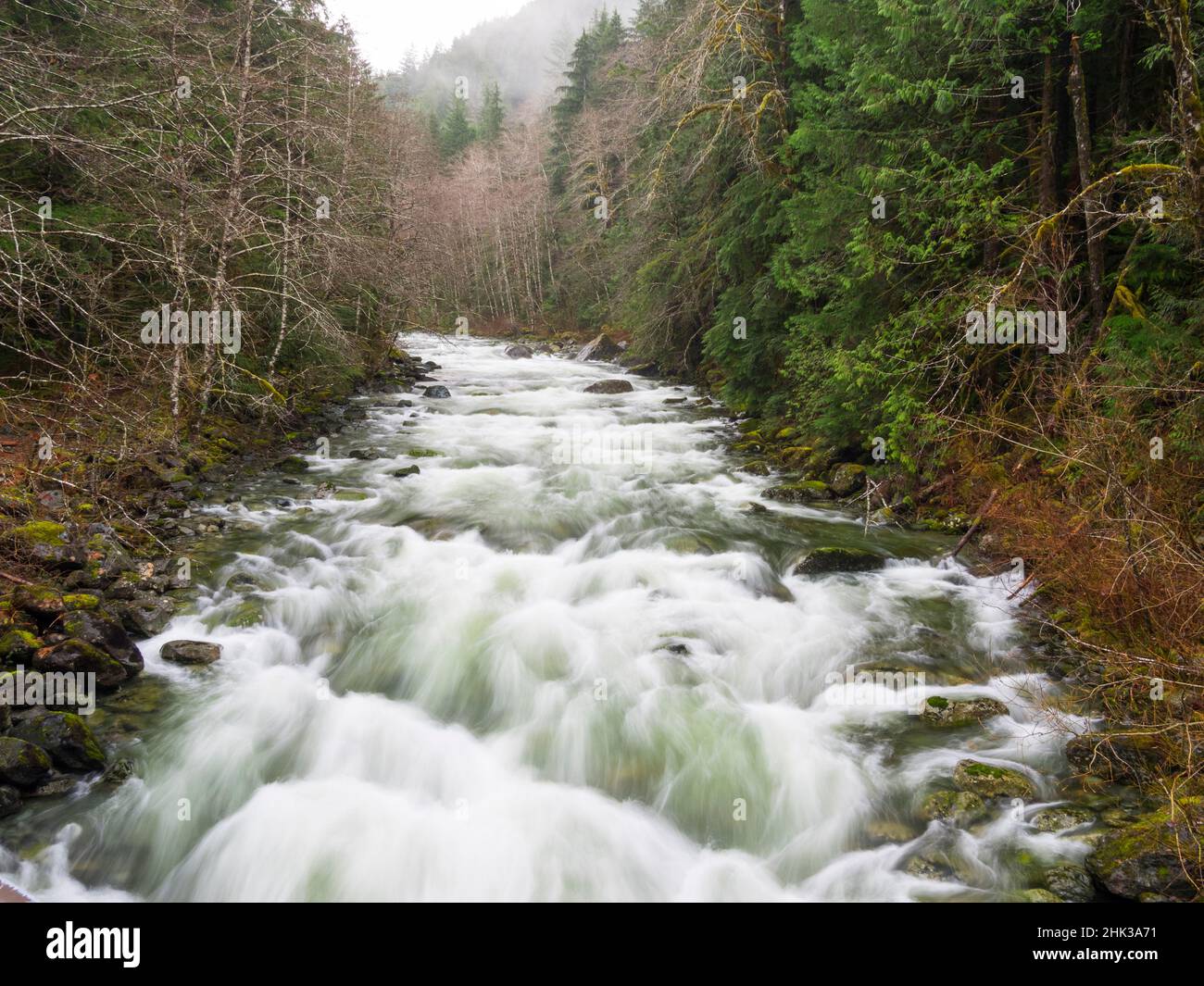 Washington State, Mount Baker-Snoqualmie National Forest, Taylor River ...
