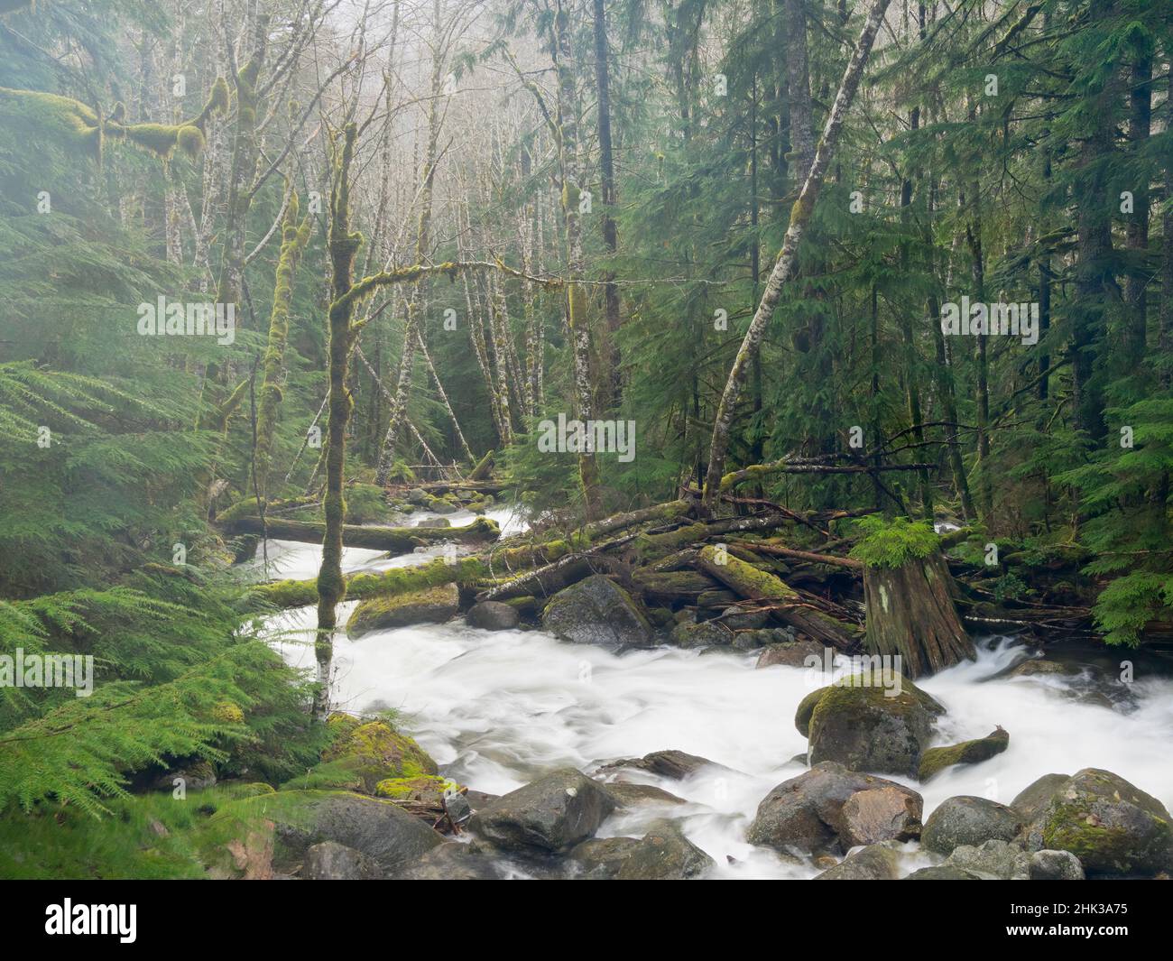 Washington State, Mount Baker-Snoqualmie National Forest, Taylor River ...