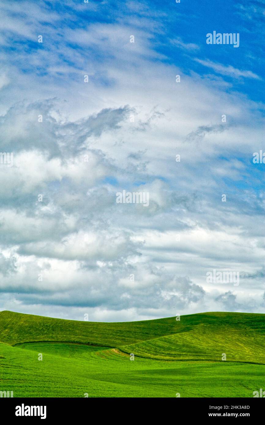 USA, Washington State, Palouse Region, Patterns in the fields of fresh ...