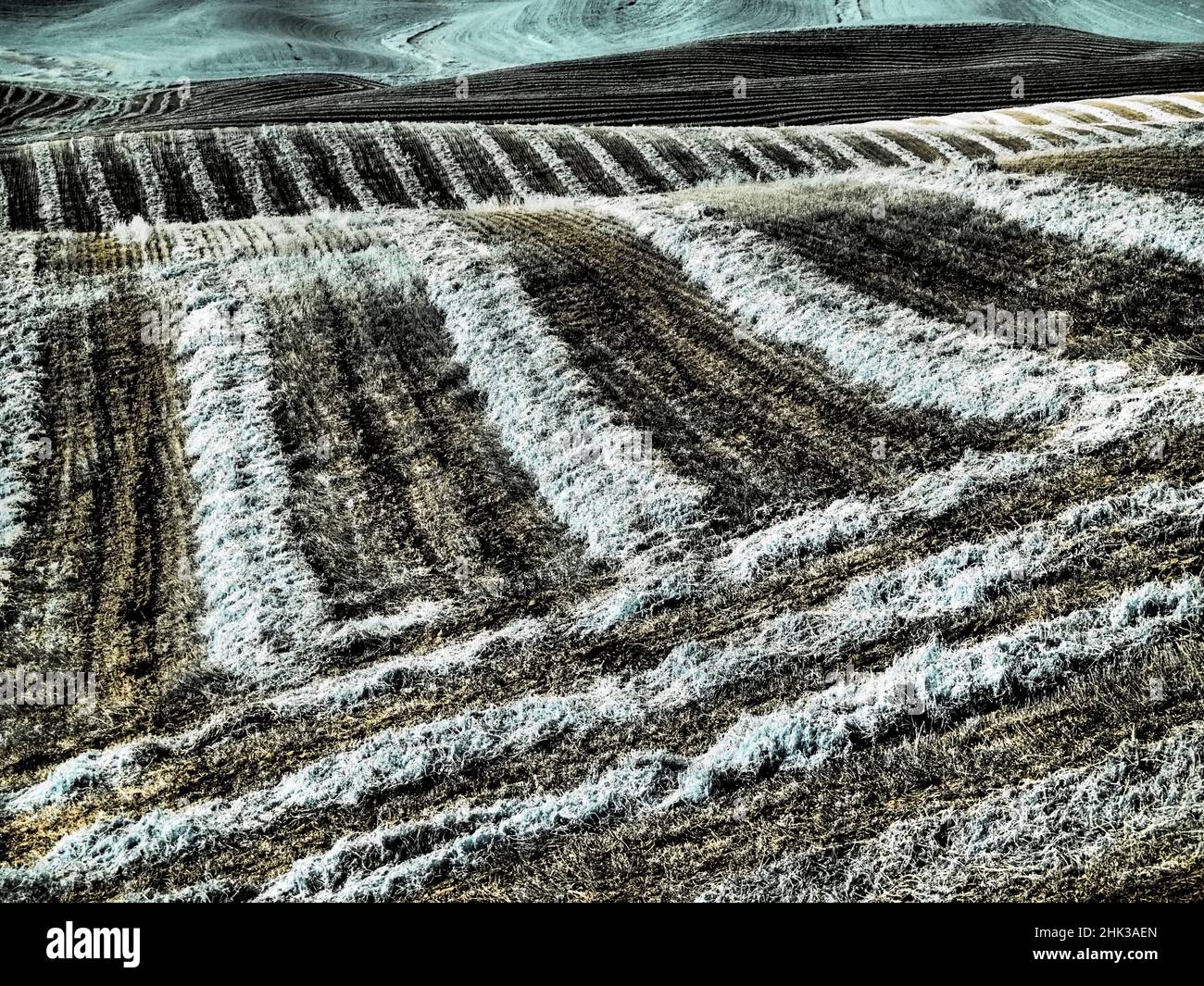 Harvest lines in cut field hi-res stock photography and images - Alamy