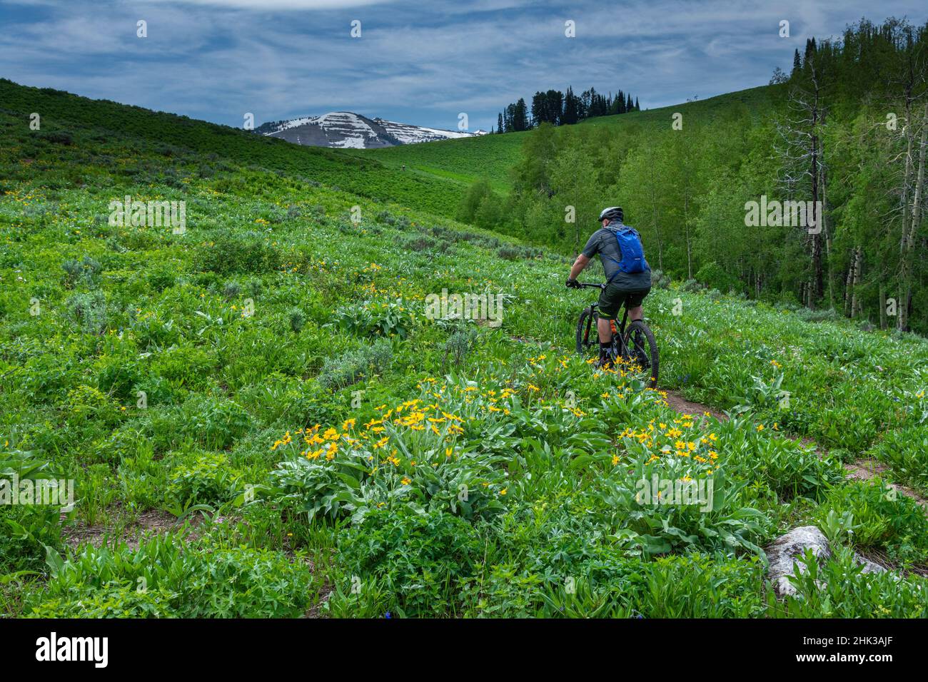 Singletrack trail hi-res stock photography and images - Alamy