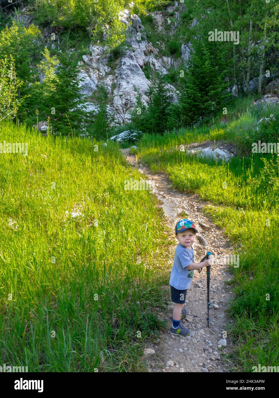 USA, Wyoming. Young child on hiking trail and learning about nature ...
