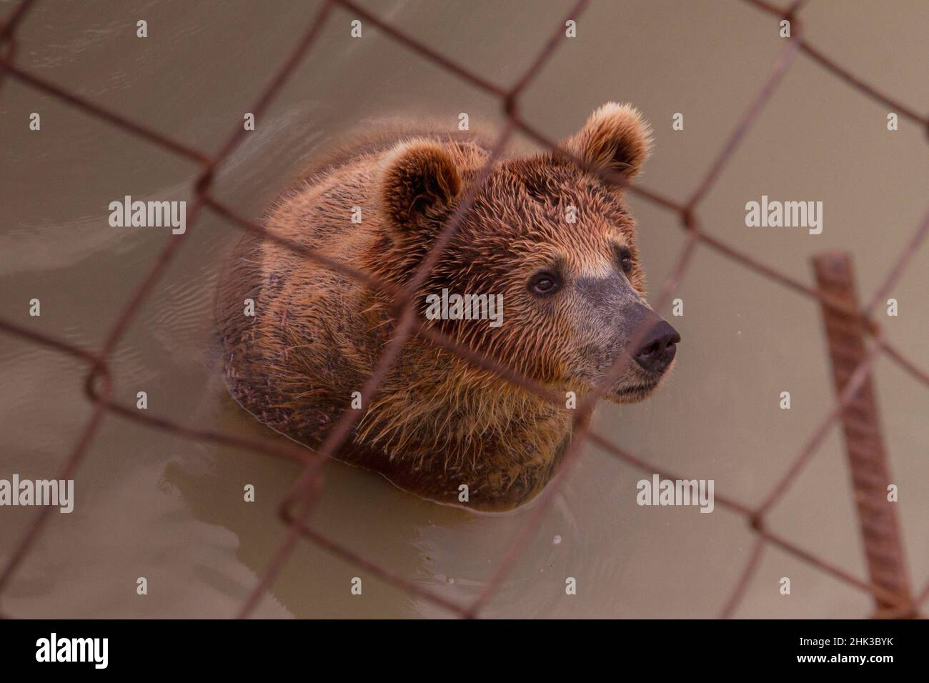 Yemen sana water hi-res stock photography and images - Alamy