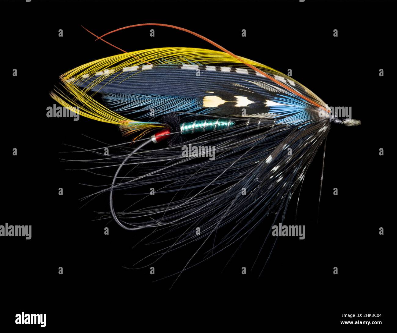 Atlantic Salmon Fly designs 'Antimatter Suprama' Stock Photo - Alamy