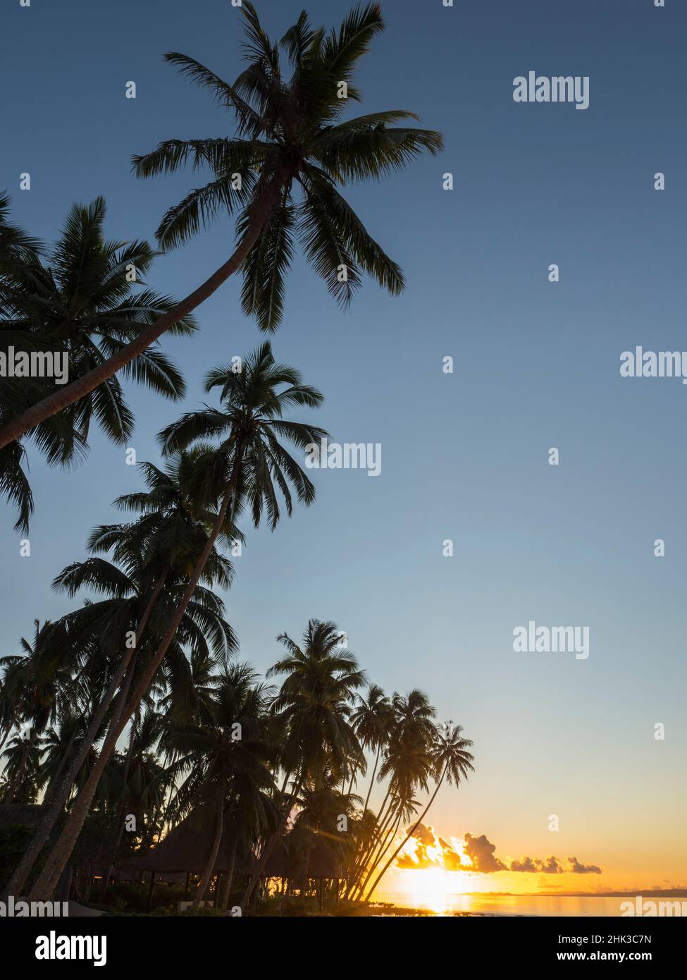 Fiji, Vanua Levu. Beach sunset with palm trees Stock Photo - Alamy
