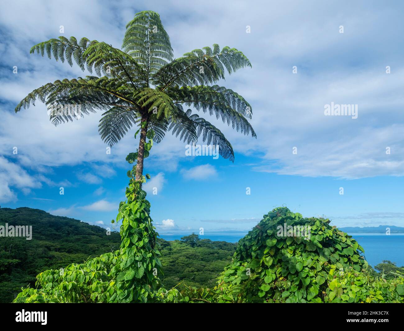 Vanua levu landscape hi-res stock photography and images - Alamy