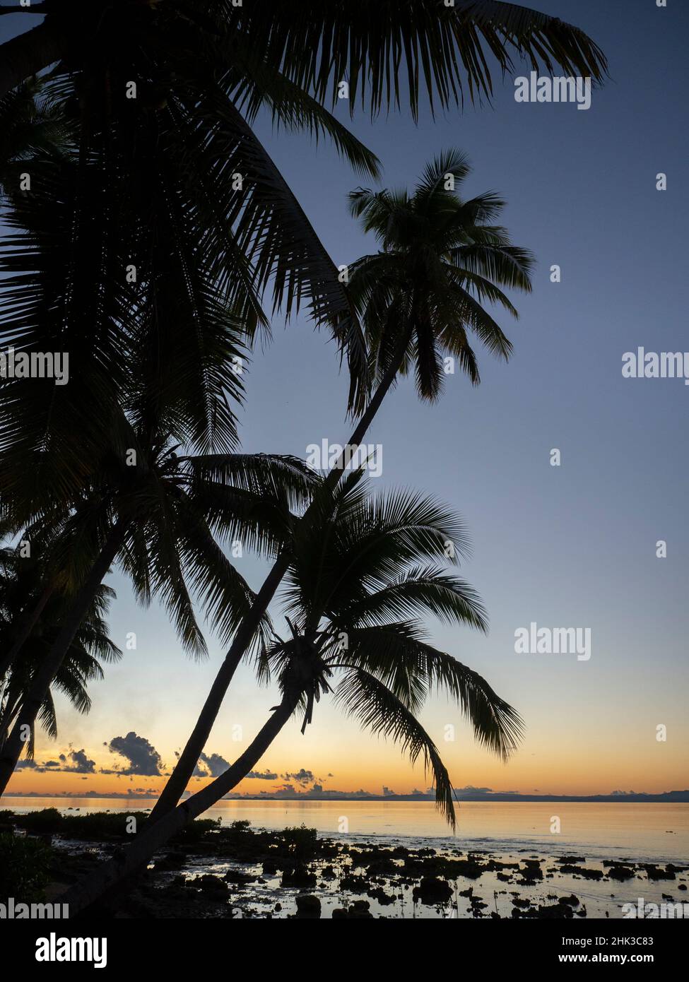 Fiji, Vanua Levu. Beach sunset with palm trees Stock Photo - Alamy