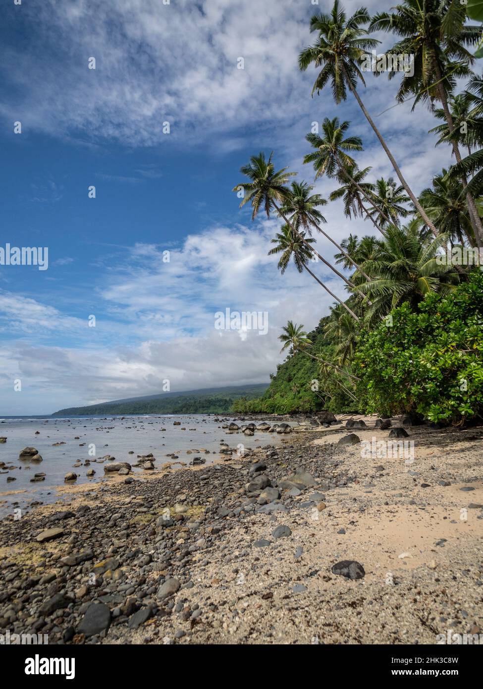 Fiji, Taveuni Island. Beach with palm trees and white clouds Stock ...
