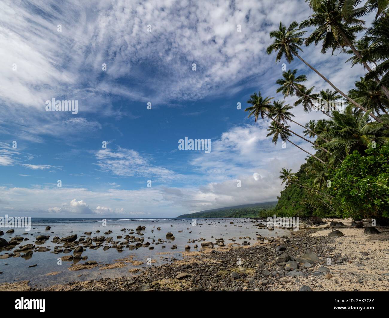 Fiji, Taveuni Island. Beach with palm trees and white clouds Stock ...