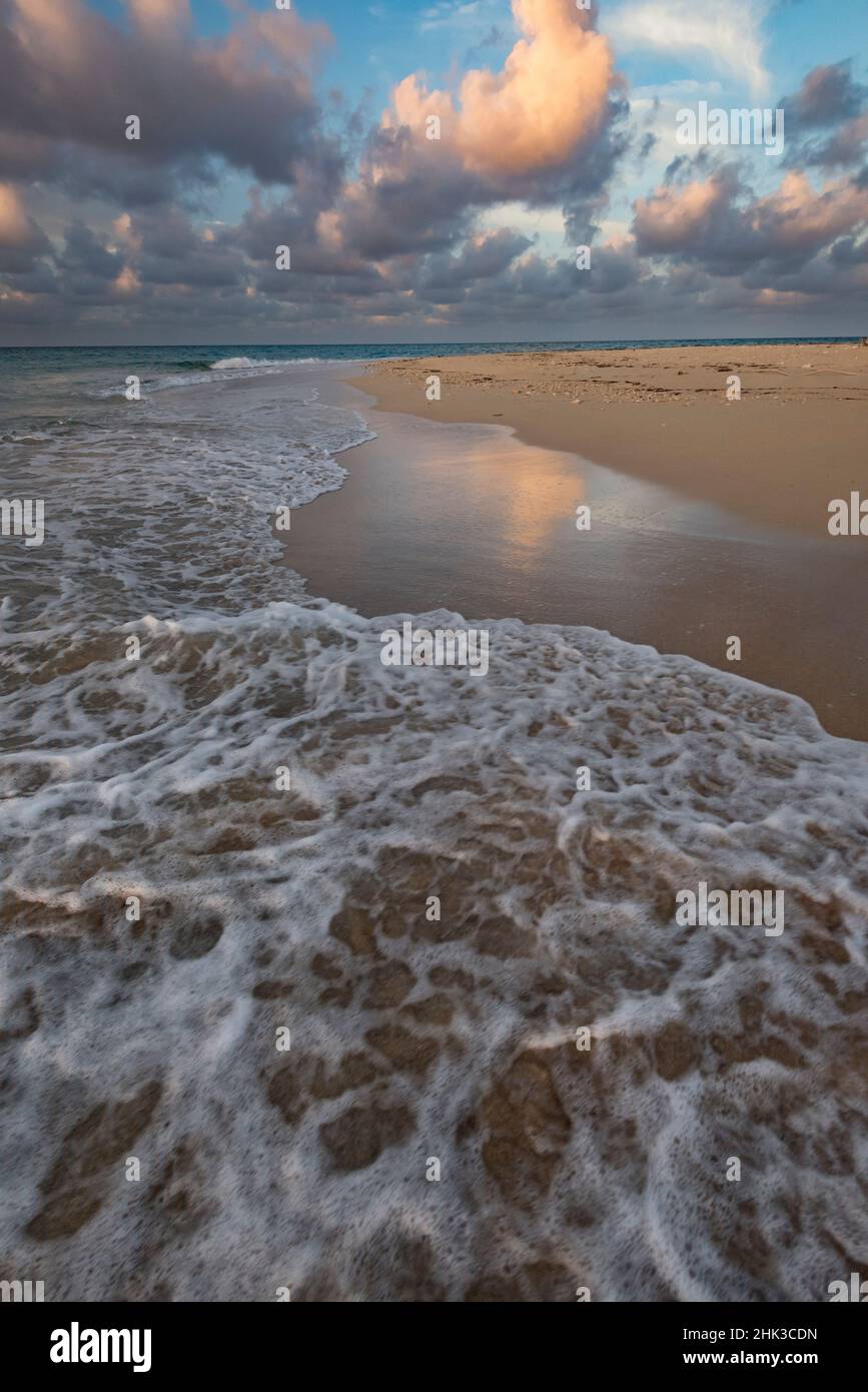 Pacific Islands, Kingdom of Tonga. Deserted sandy beach on an ...