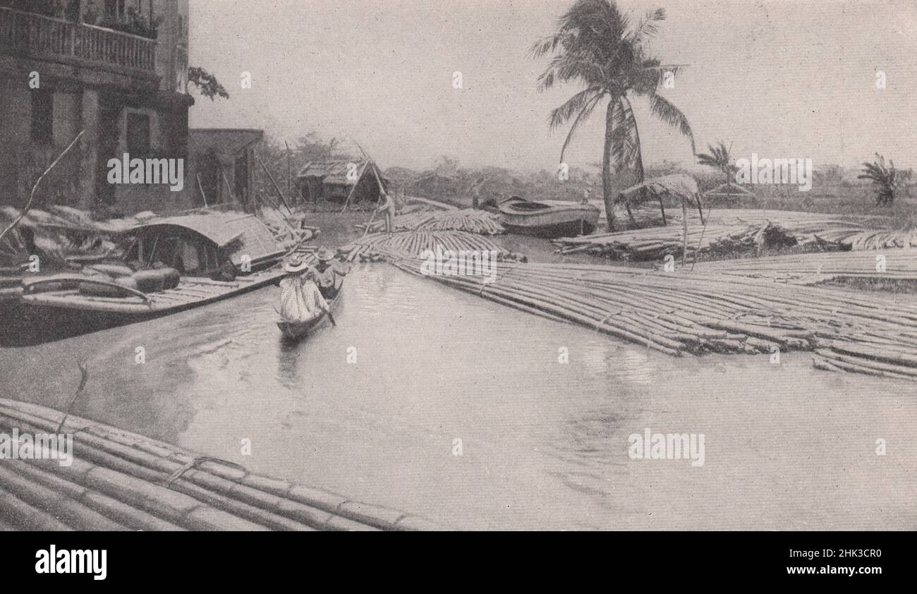 Section of the Pasig river near the City of Manila, showing the variety ...