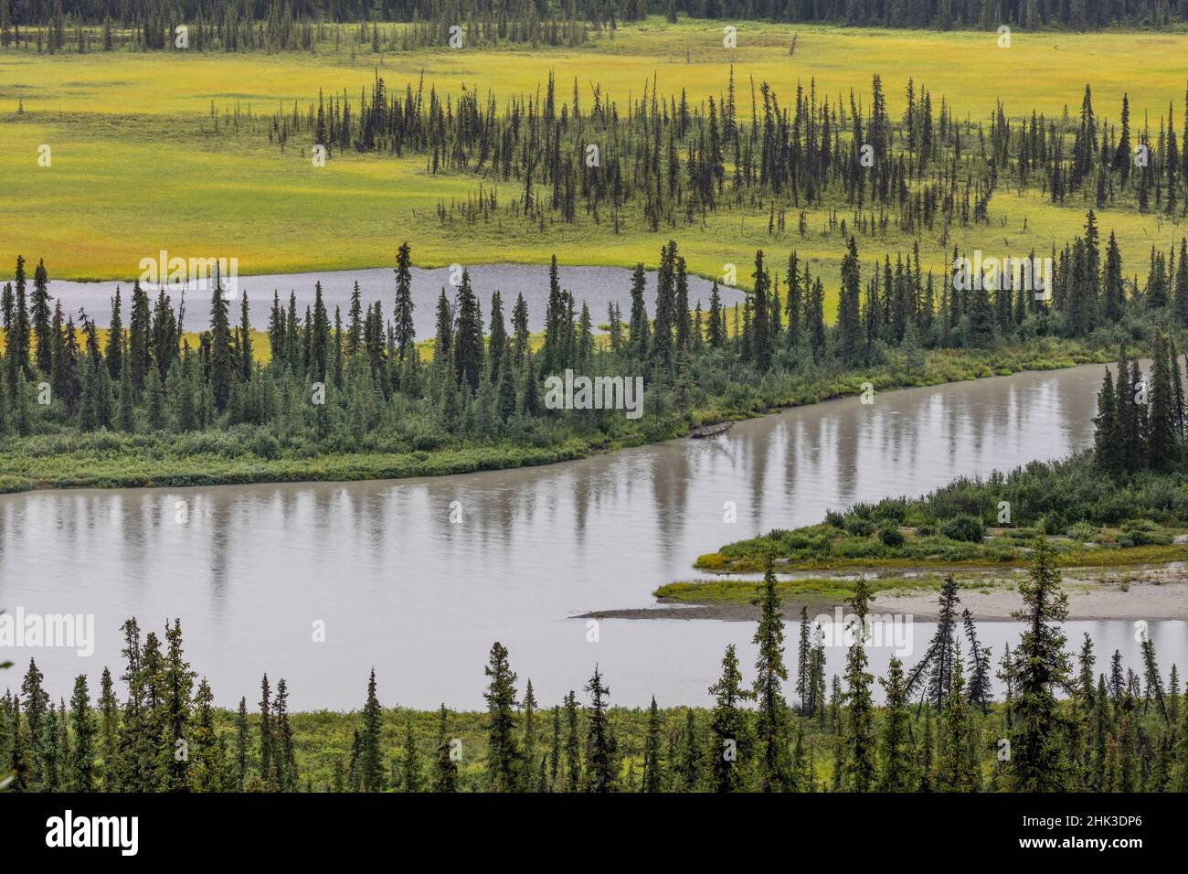 USA, Alaska, Nenana River Valley. Landscape of valley, river, and pond ...