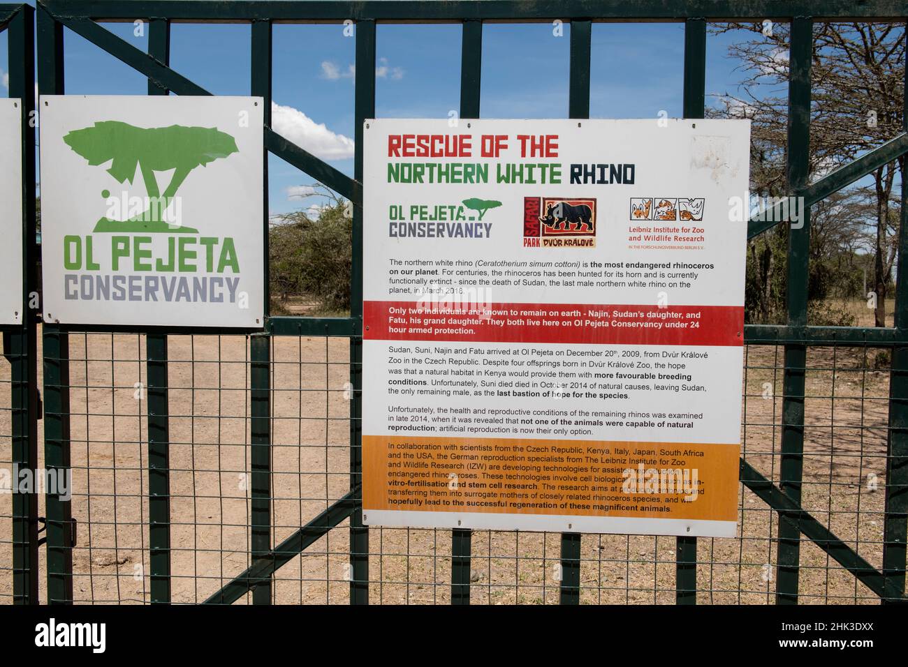 Kenya, Ol Pejeta Conservancy, home to the last 2 critically endangered Northern white rhinos ...