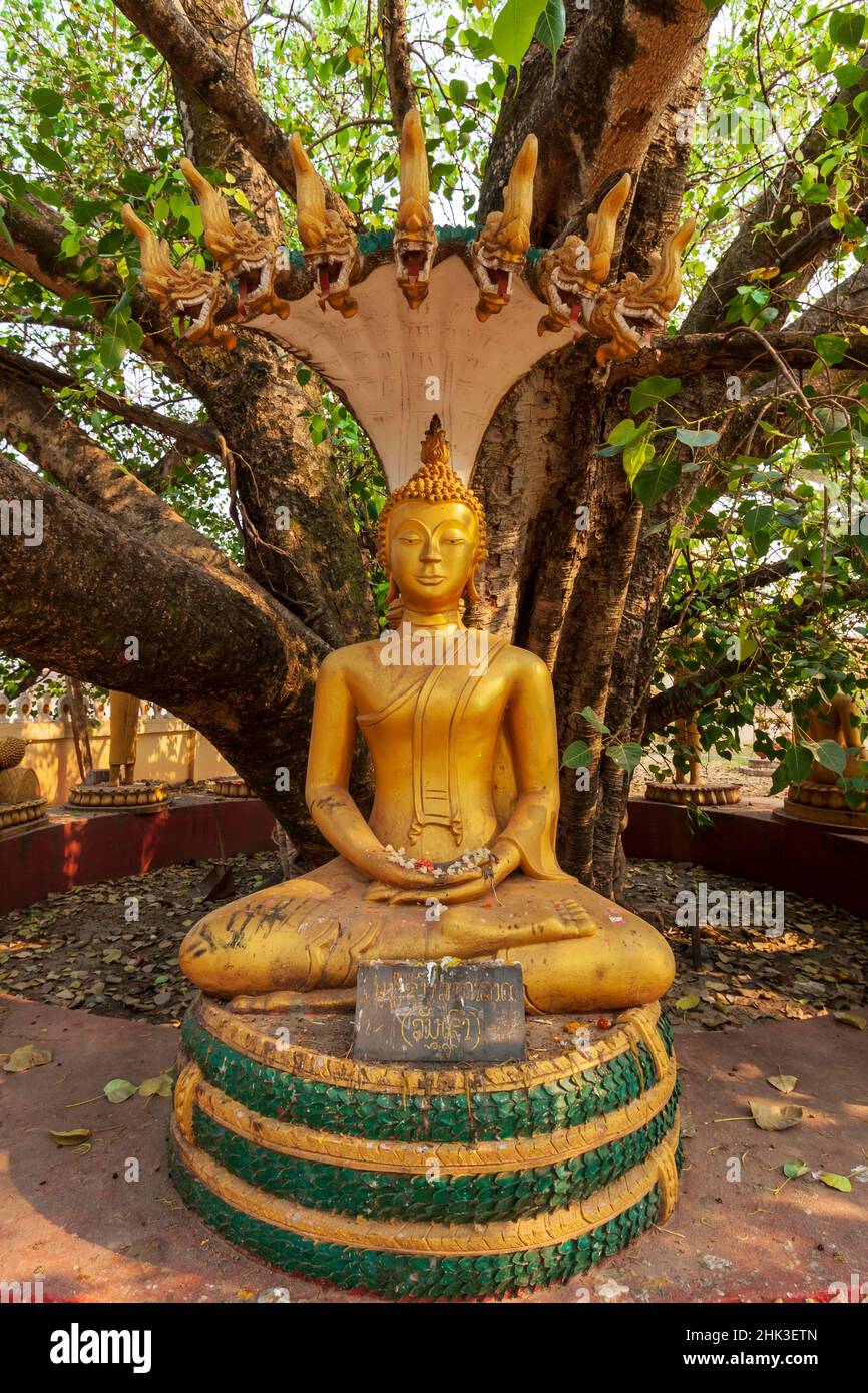 Buddhist statues around Pha That Luang, (Great Stupa in Lao) is a ...