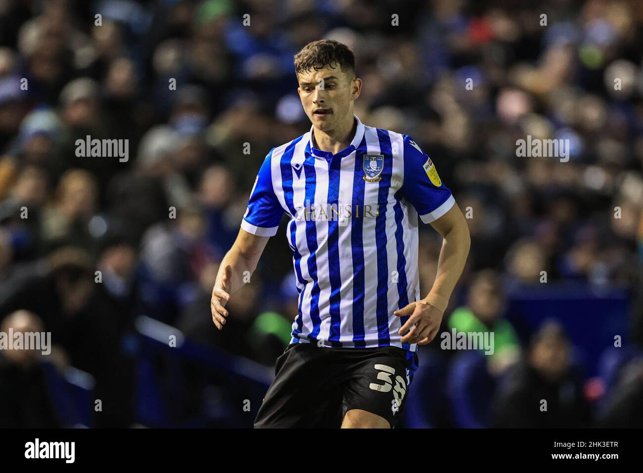 Jordan Storey #38 of Sheffield Wednesday during the game Stock Photo ...