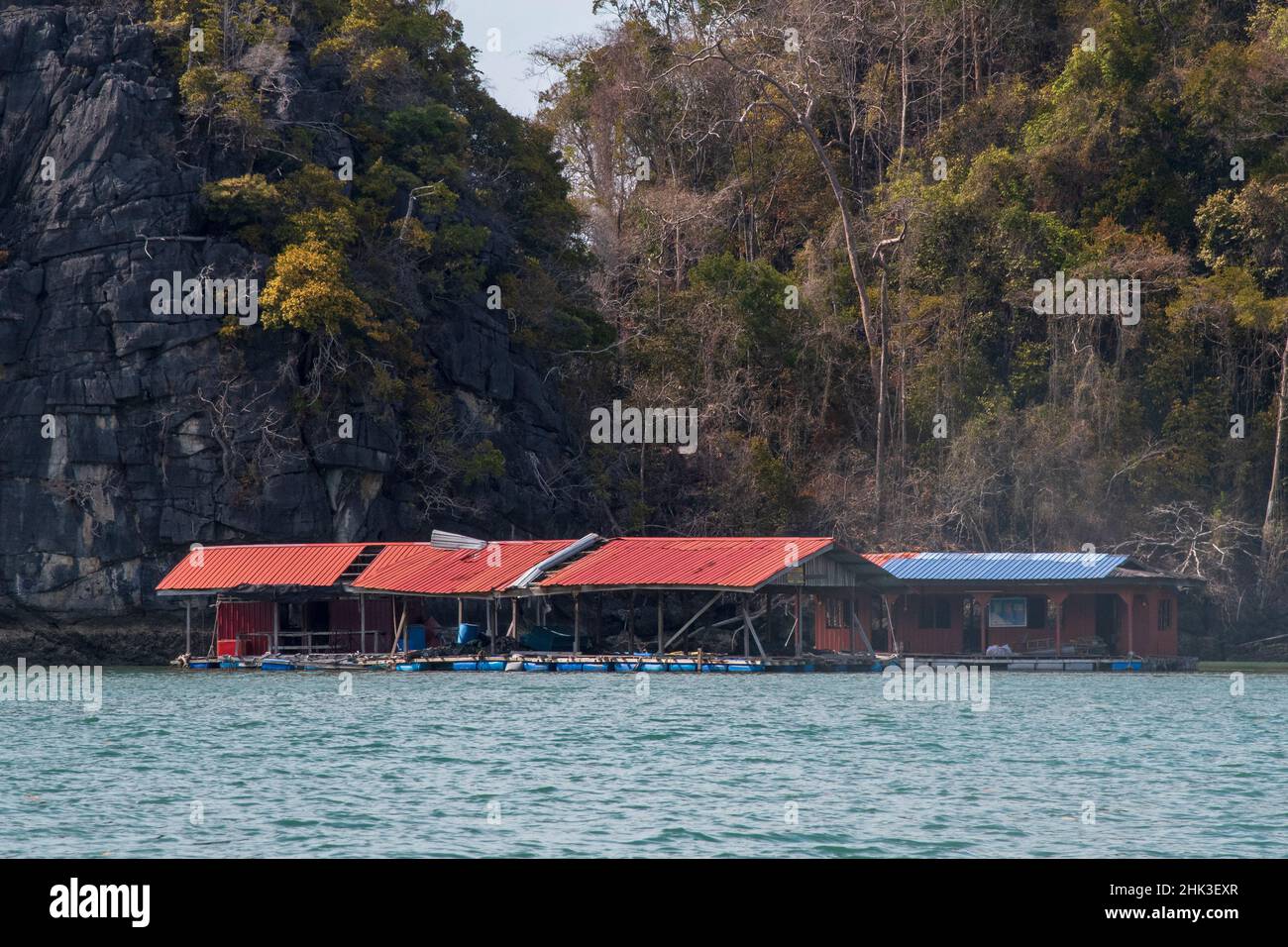Kilim Geoforest Park, Langkawi, Malaysia Stock Photo - Alamy