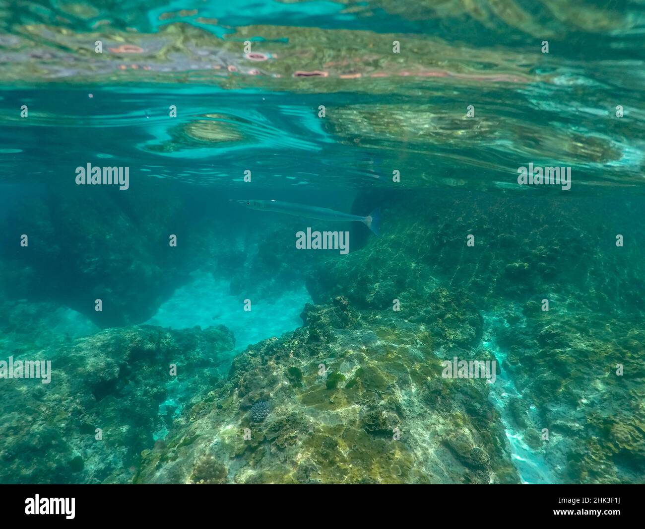 Ko miang thailand hi-res stock photography and images - Alamy