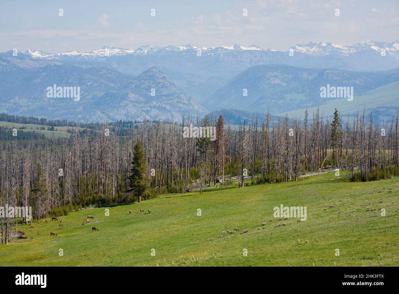 Old burn hi-res stock photography and images - Alamy