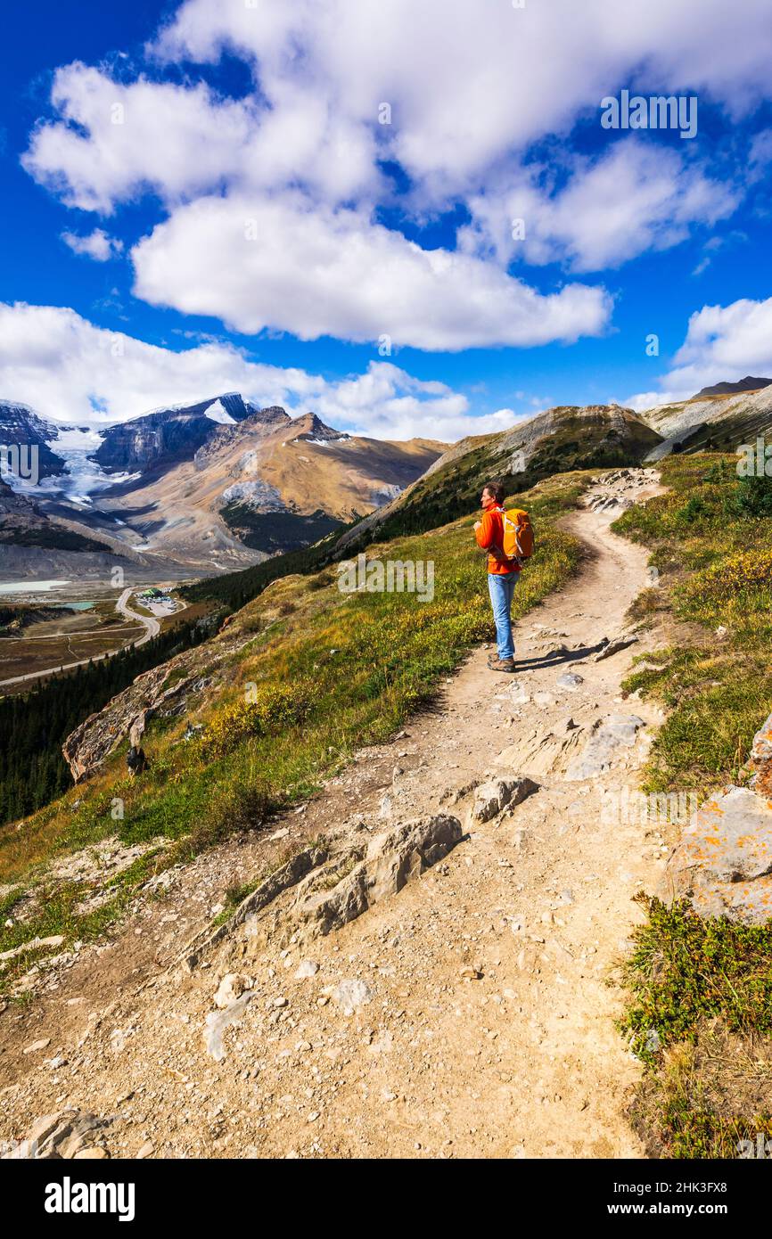 Hiker on Wilcox Ridge above the Columbia Icefields, Jasper National ...