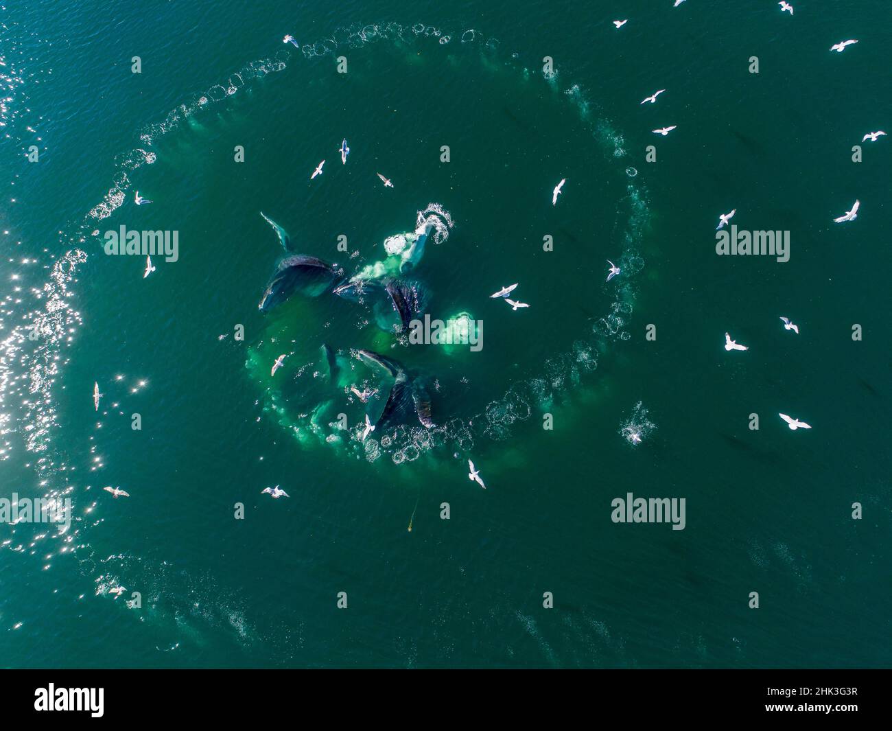 Lunging island hi-res stock photography and images - Alamy