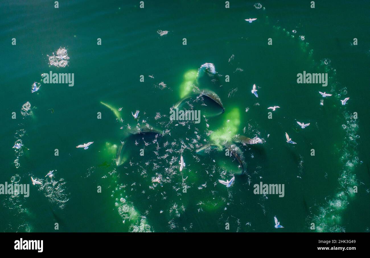 Lunging island hi-res stock photography and images - Alamy