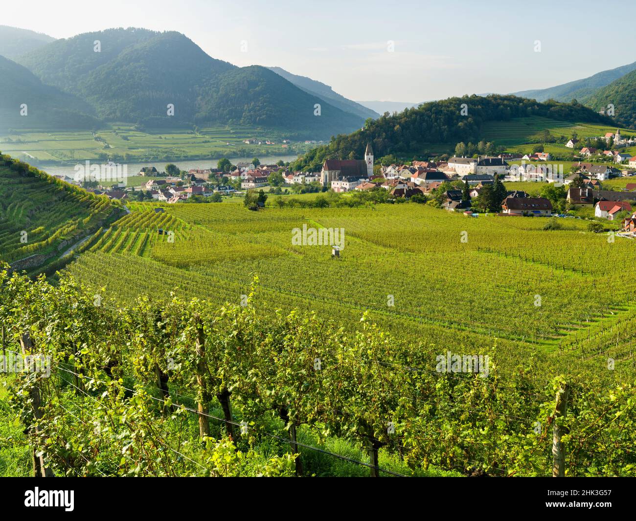 Historic village Spitz located in wine-growing area, UNESCO World ...