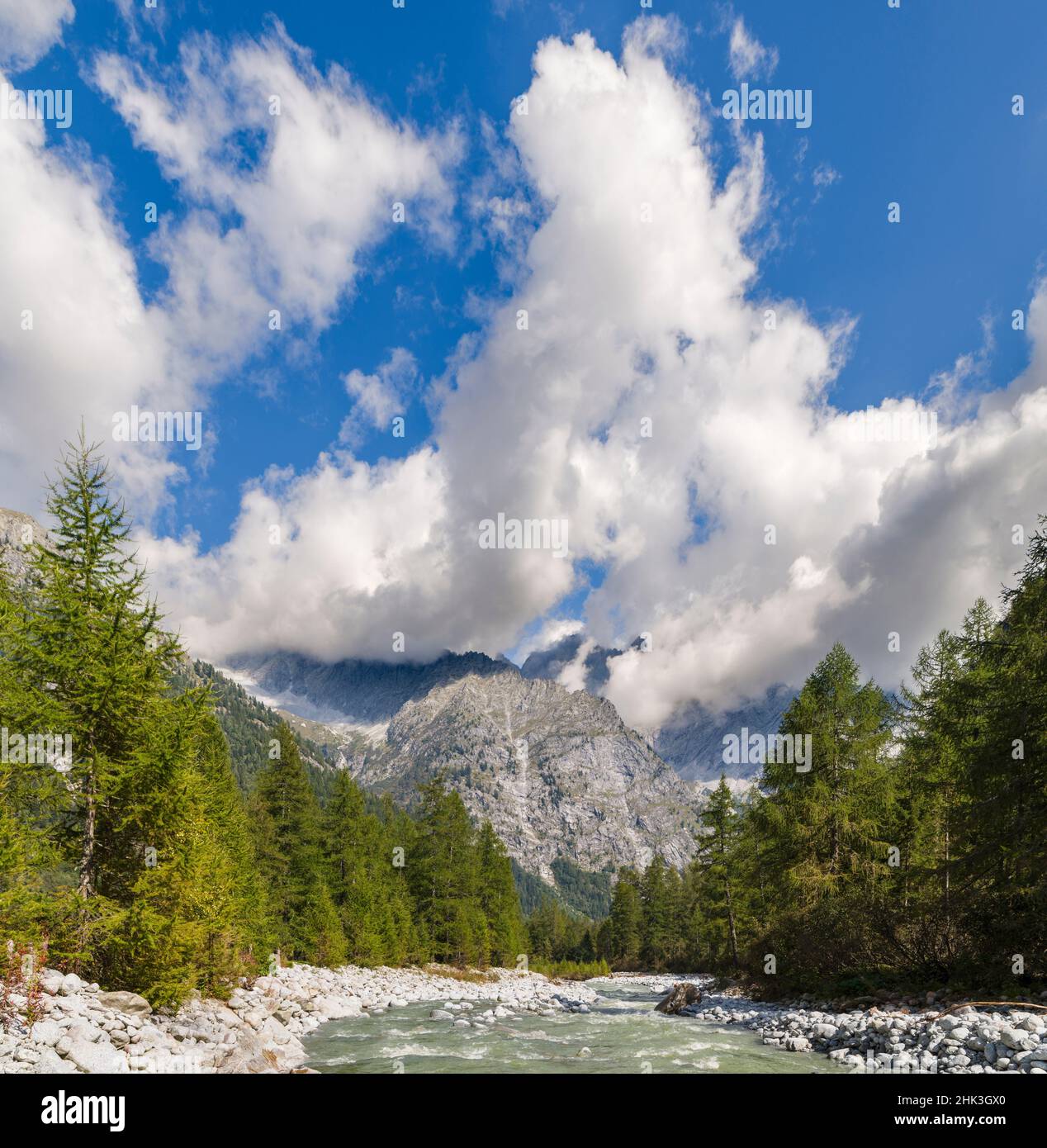River Sarca, view towards Presanella mountain range. Val di Genova in ...