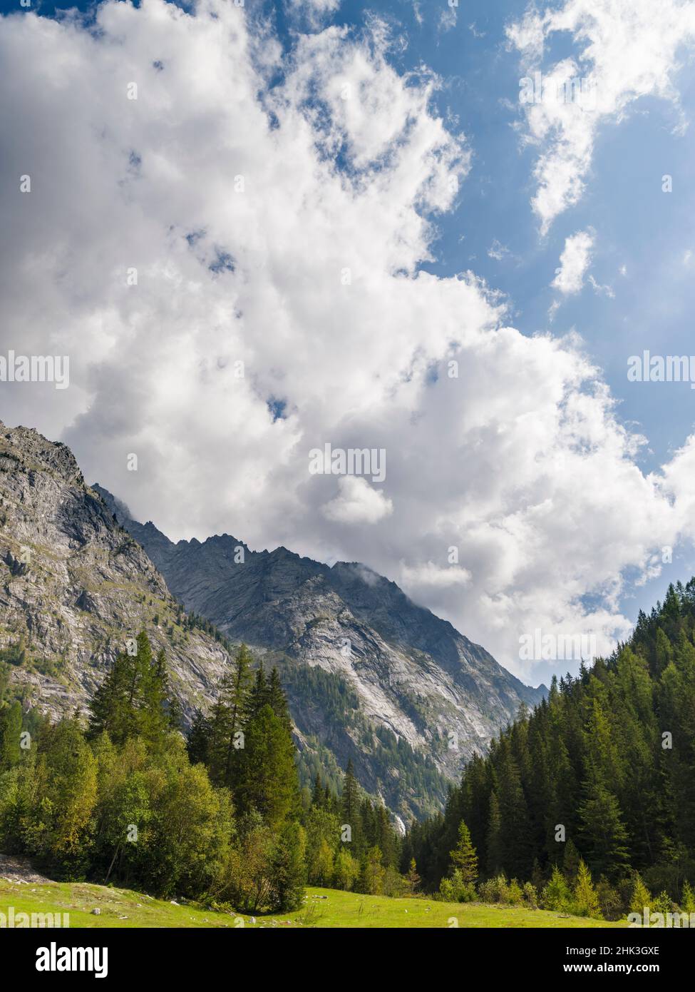 View towards Presanella mountain range. Val di Genova in the Parco ...