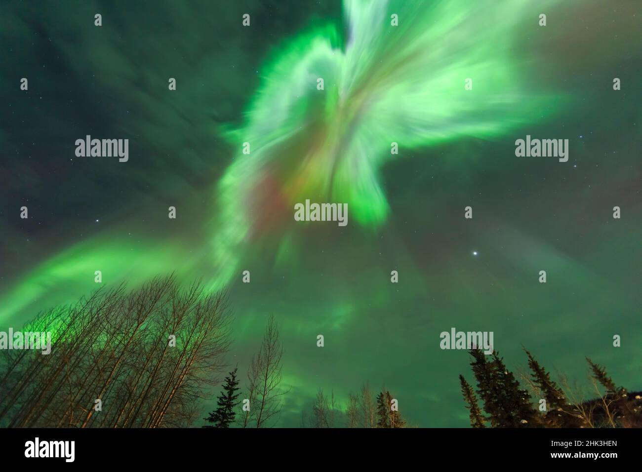 Viewing straight up at Corona, explosion of light, Aurora borealis ...