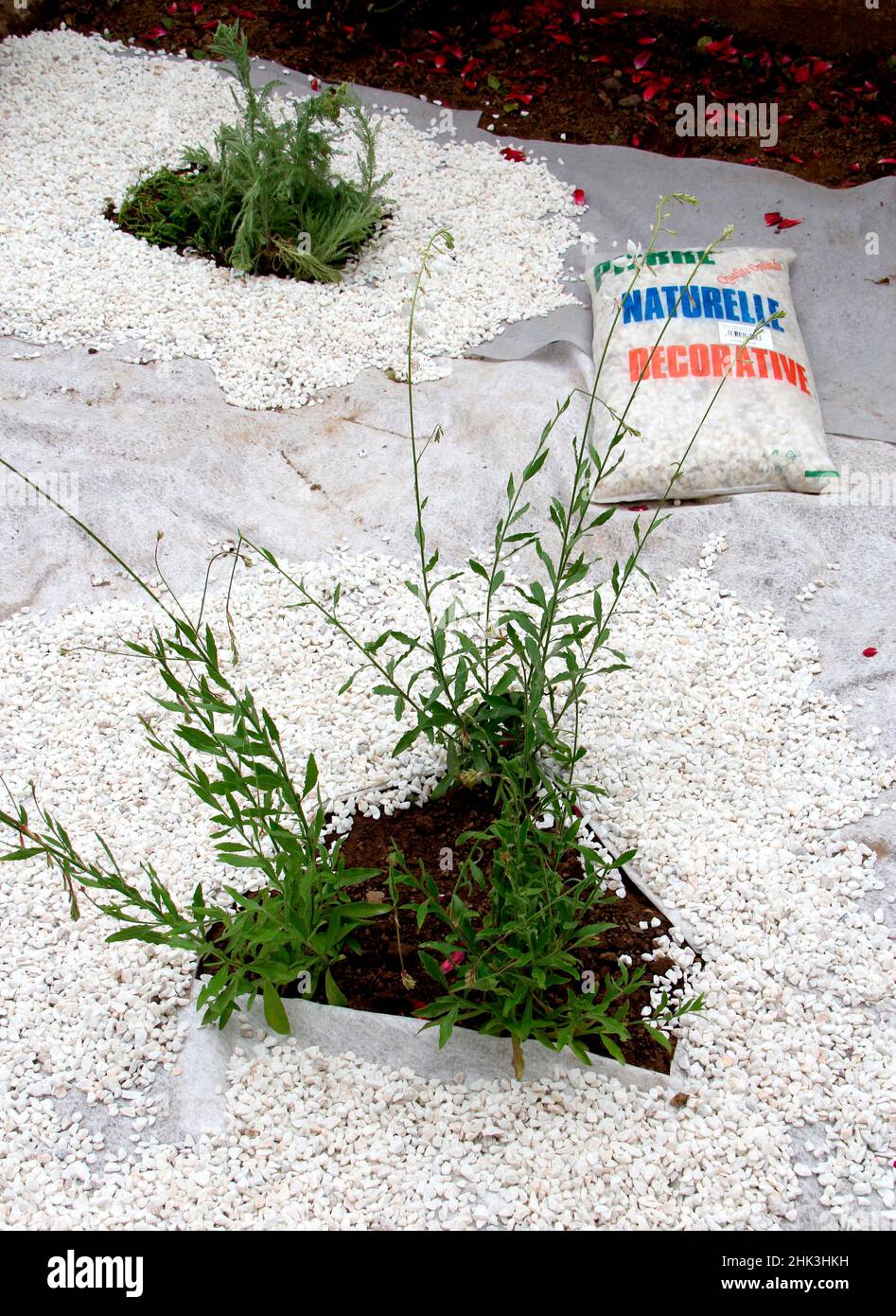 Preparation of a small garden with protective film for maintenance-free ...