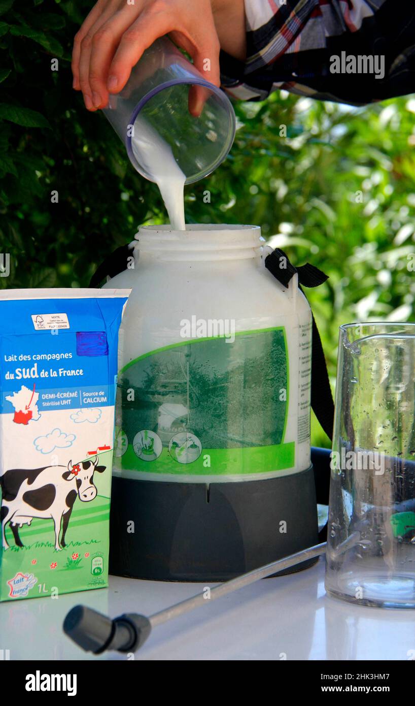 Spraying a milk-based powdery mildew treatment Stock Photo - Alamy