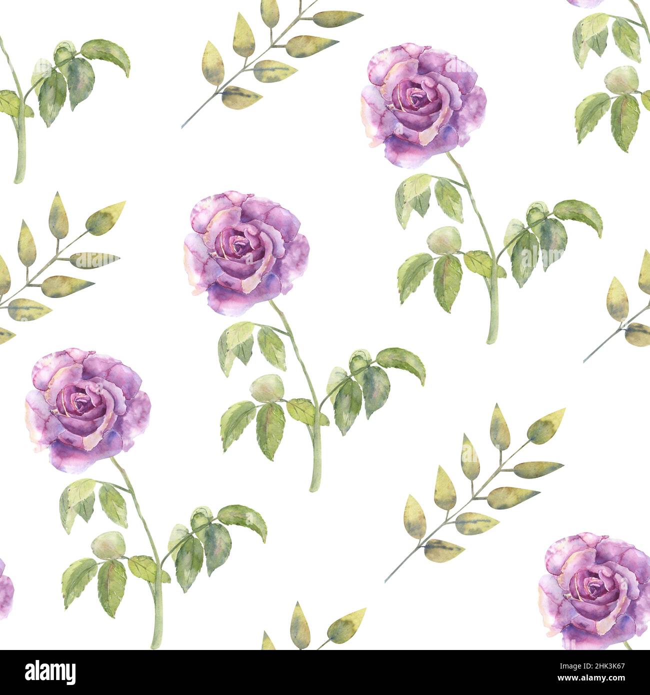 Seamless patterns with purple roses and anemones on a white isolated ...