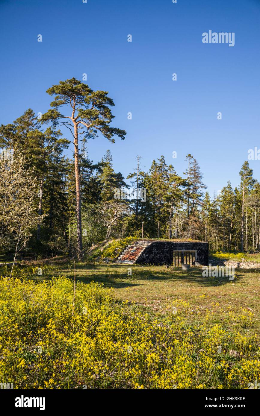 Sweden, Gotland Island, Bungenas, former chalk mine and military base ...