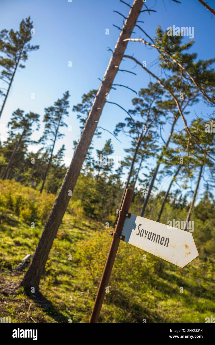 Sweden, Gotland Island, Bungenas, former chalk mine and military base ...
